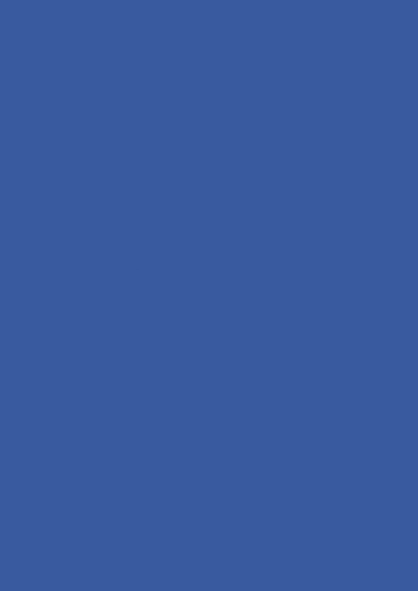 1078 Royal Navy Blue - Patex