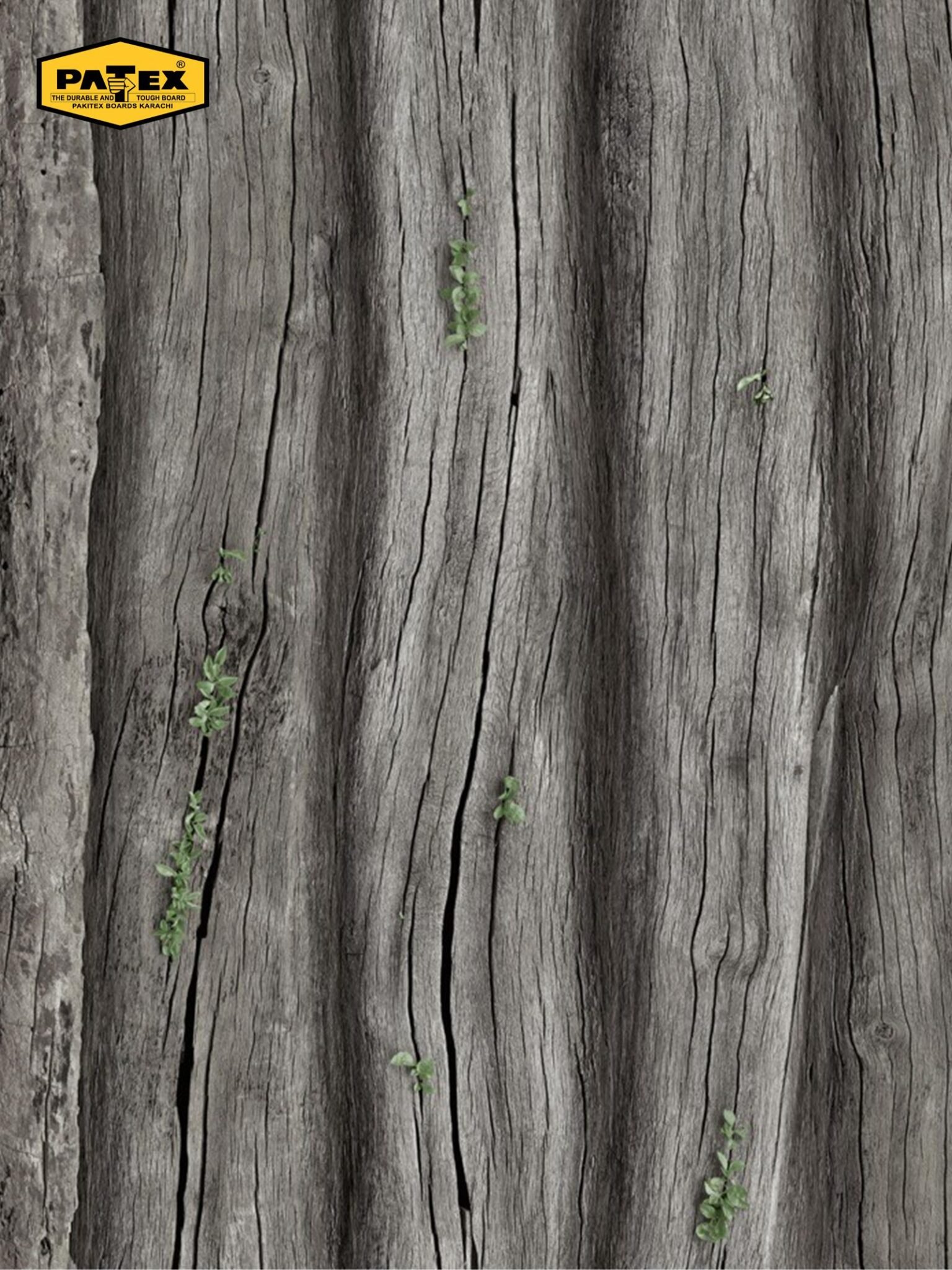 PK-6158 Grey Polar Oak - Patex